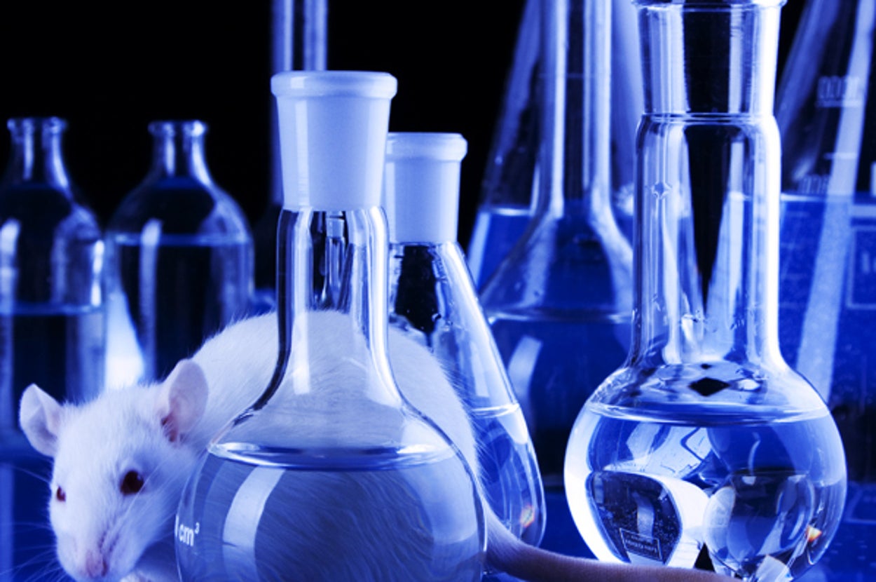 Russian Scientists Build Monument To Honor Lab Rats