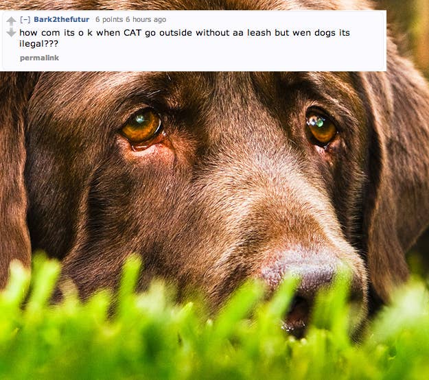 7 Of The Most Obnoxious Dog's Rights Activists