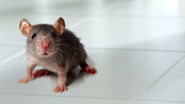 16 Small Things That Cause A Big Panic