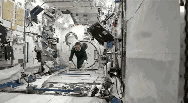 A Tribute To The Universe's Favorite Astronaut