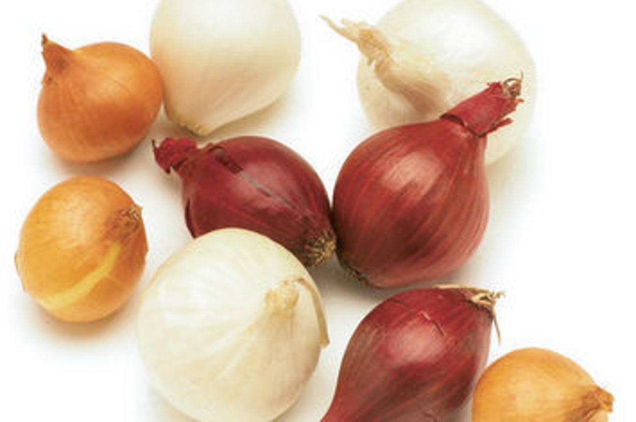 yellow or brown onion