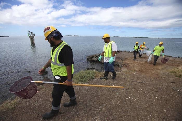 12 Tragic Images Of The Massive Molasses Spill At Honolulu Harbor