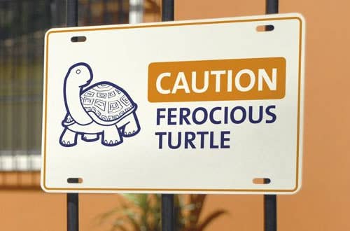 Ferocious Turtle