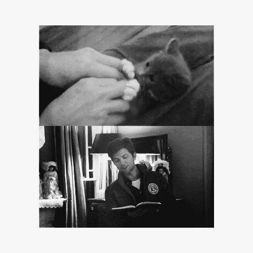 Danielle Heckman on BuzzFeed