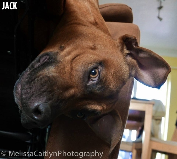 melissaf21 on BuzzFeed