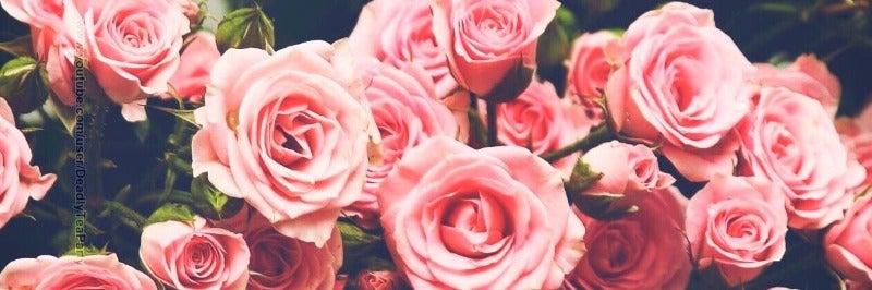 Amber Usher on BuzzFeed