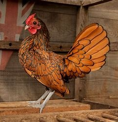 Bad Movie Descriptions Trivia Quiz