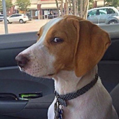 Sam_Wheat on BuzzFeed