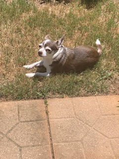 Find Out Your ~Pumpkin Personality~ By Choosing Your Favorite Halloween ...