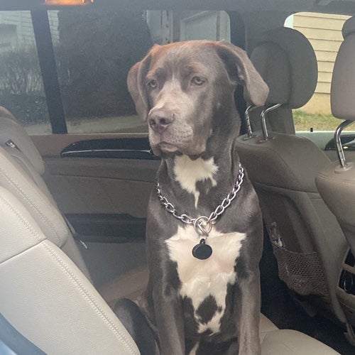 Skywalkerxx91 on BuzzFeed