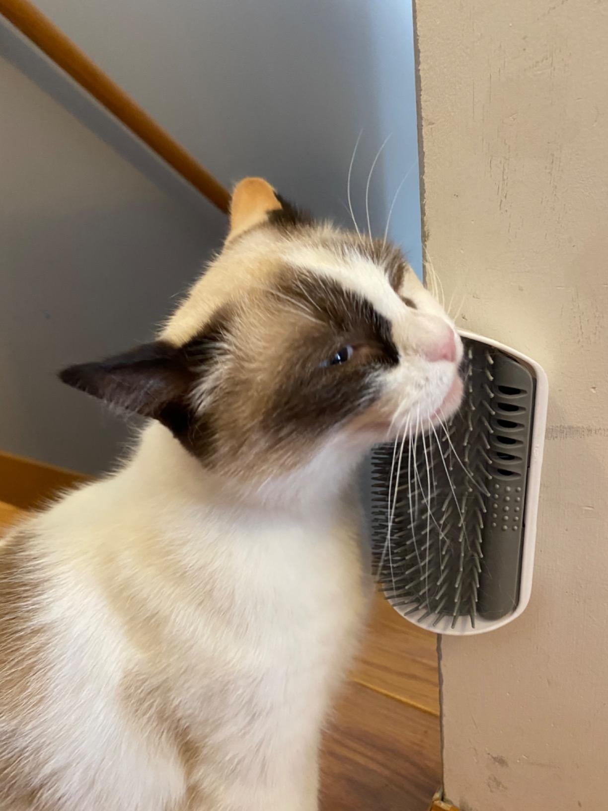 38 Items That’ll Make You Think “OMG, That’s Genius”