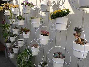 25 Home Things For People Who Love Plants