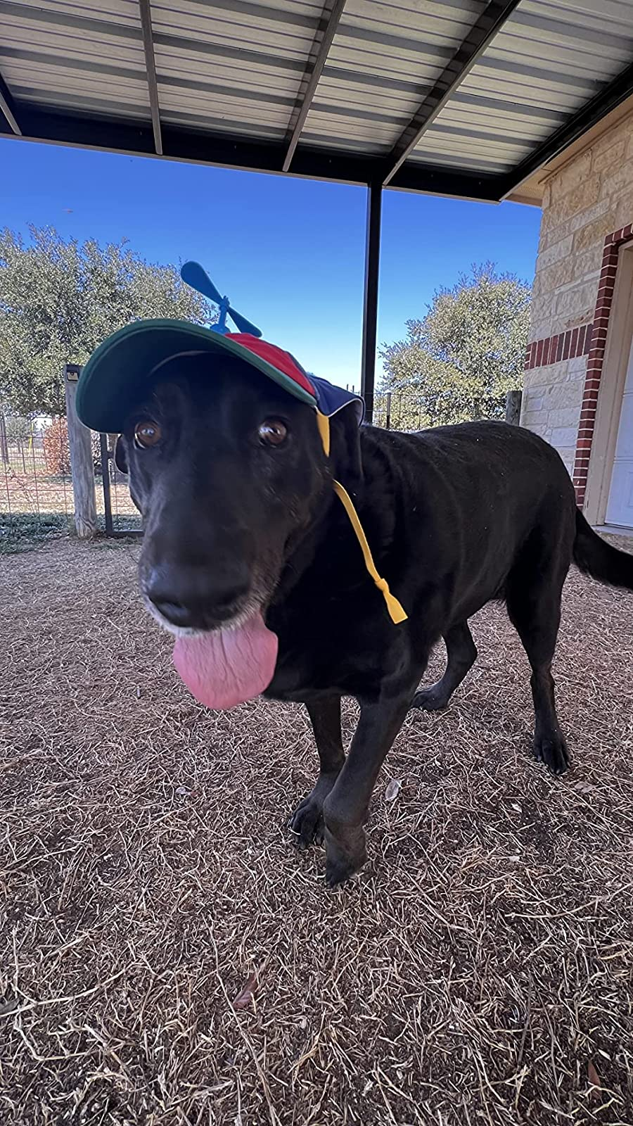 14 Funny Products That Will All Make You Laugh