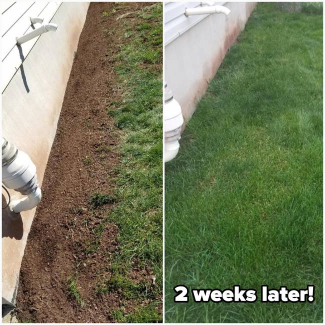 37 Simple Upgrades To Zhuzh Up Your Outdoor Space