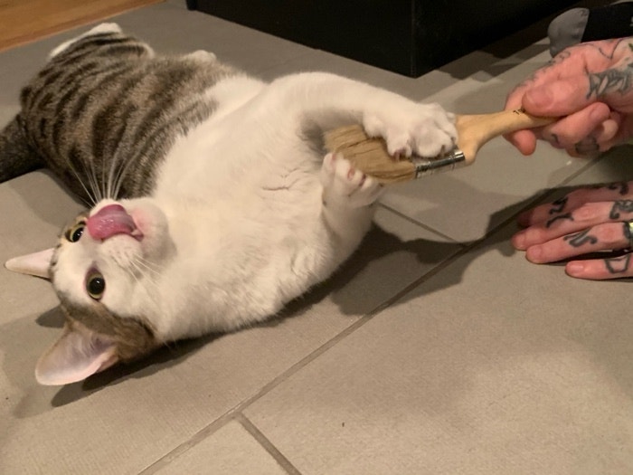 magical_muggle on BuzzFeed