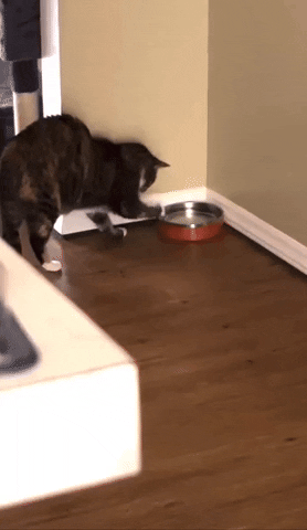Humble Brags Will Be Hard After Owning These 42 Useful Items