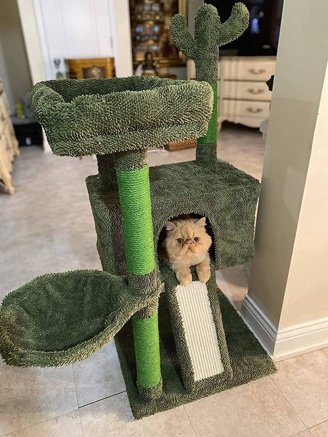 21 Best Cat Trees To Keep Kitty From Climbing The Walls