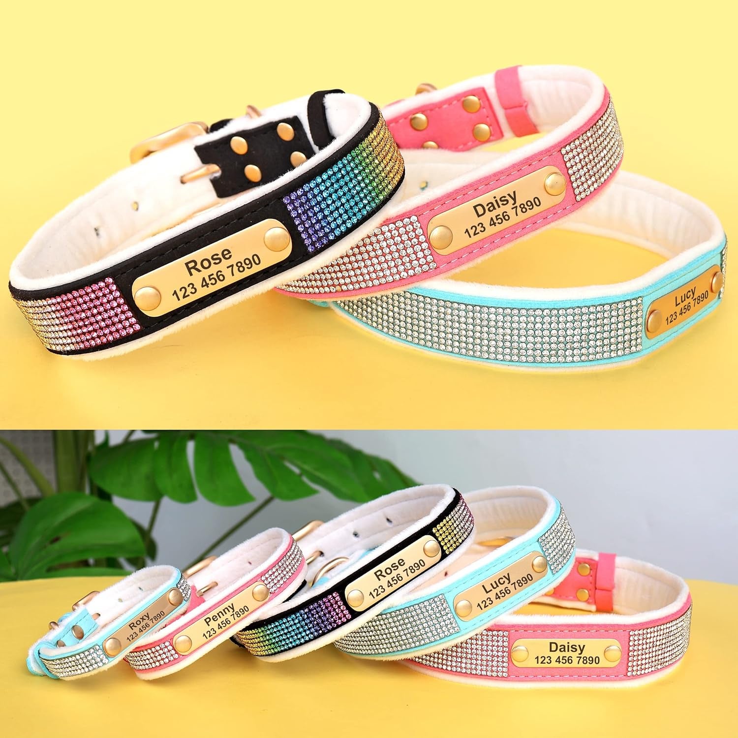 20 Personalized Dog Collars For Your Pup