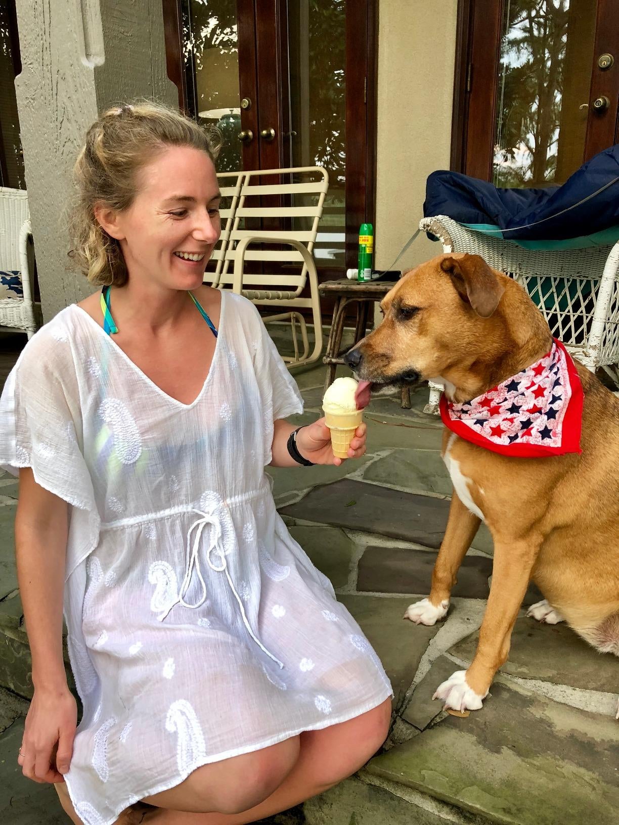 24 Useful Products For Your Dog