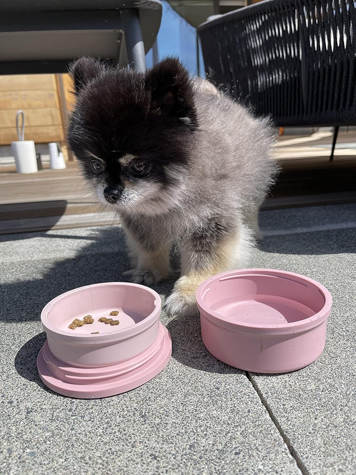 38 Pet Products For DINKWAD Couples (And Their Dog)