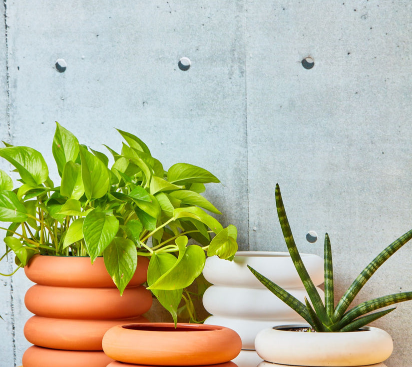 25 Pretty Planters That Double As Decor