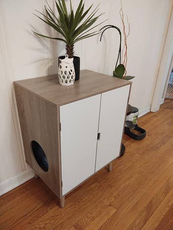 31 Best Hidden Litter Box Enclosures For Cats
