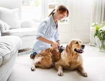 36 Cool And Unique Products For Your Dog