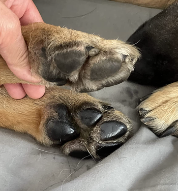 It's *Hot* And These 33 Problem-Solving Products Are Here To Help Until ...