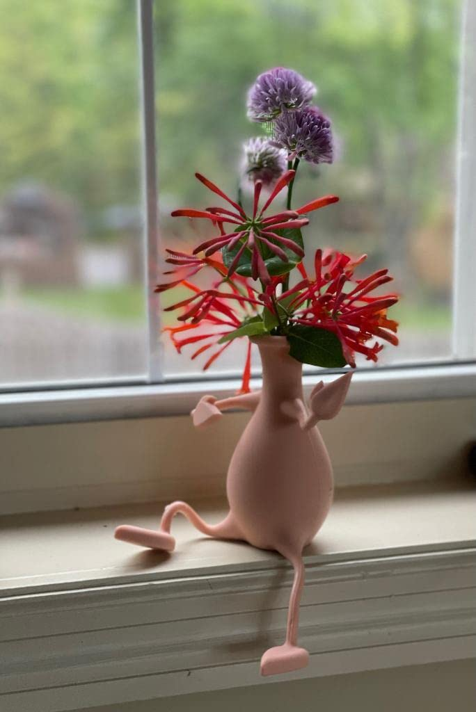 29 Adorable And Unusual Products You Should Just Get