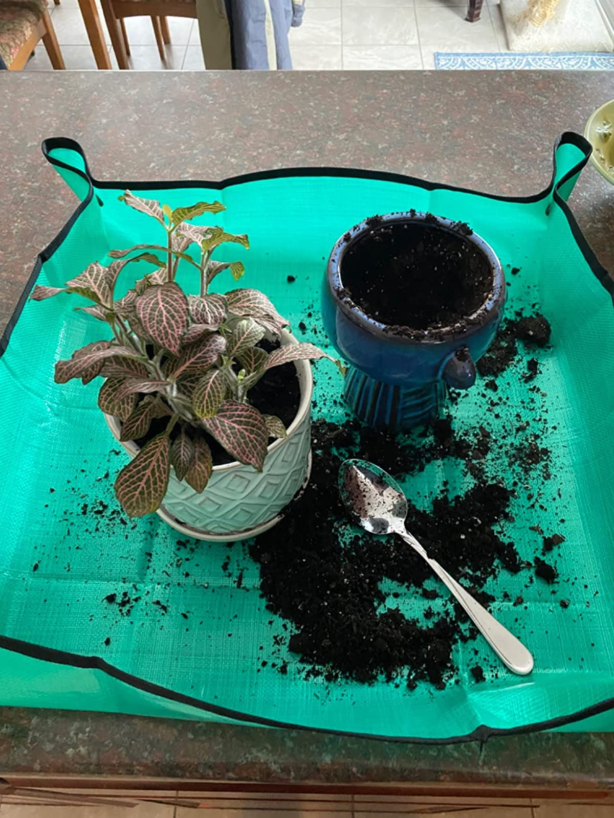 30 Problem-Solving Products For Beginner Plant Parents