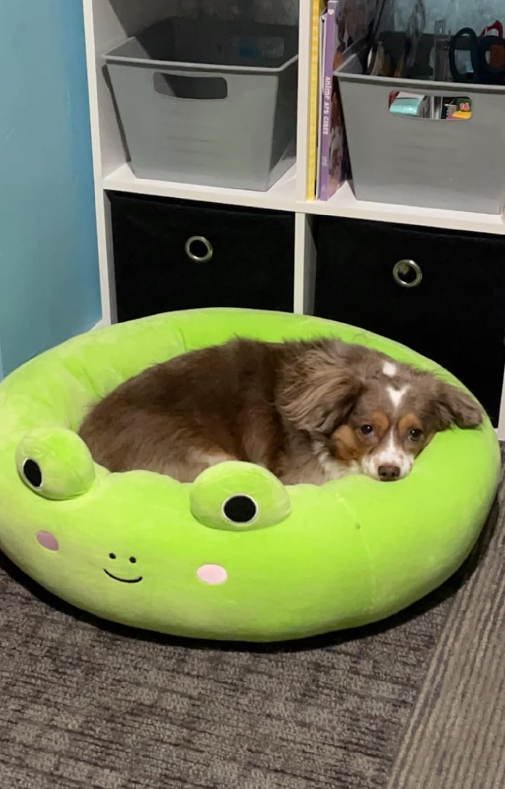 38 Pet Products For DINKWAD Couples (And Their Dog)