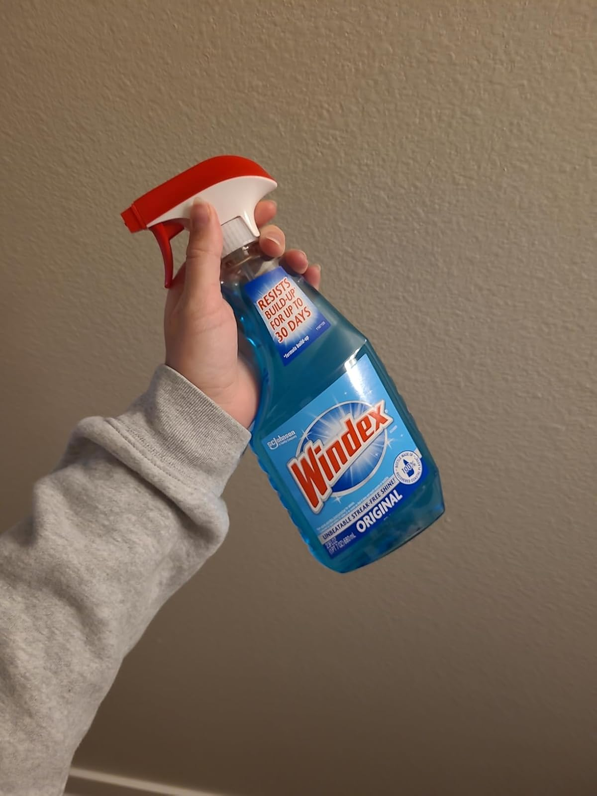 23 Best Glass Cleaners For Streak-Free Windows