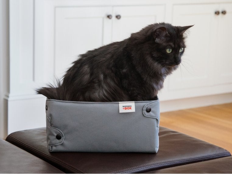 17 Best Cat Beds Your Kitty Will Love More Than You