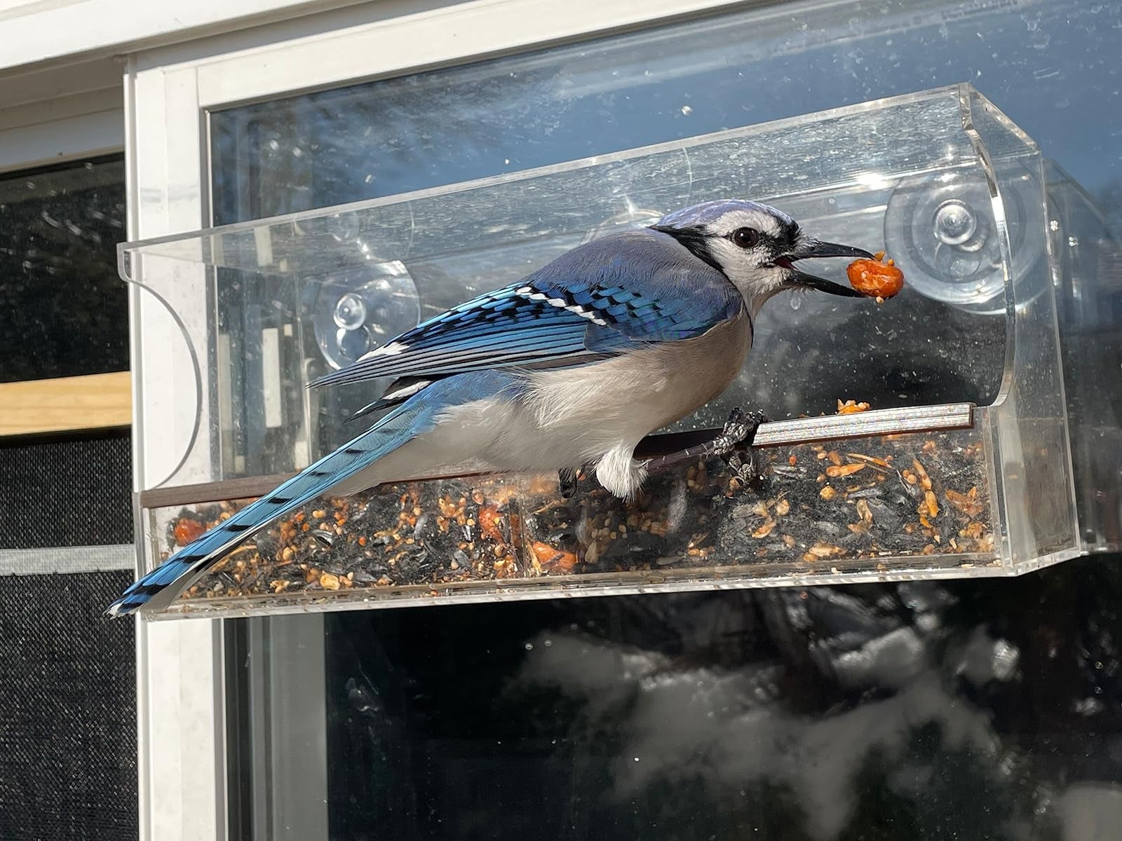 42 Father's Day Gifts He'll Wanna Brag About