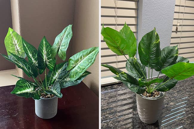 45 Best Fake Plants To Make Real Ones Green With Envy
