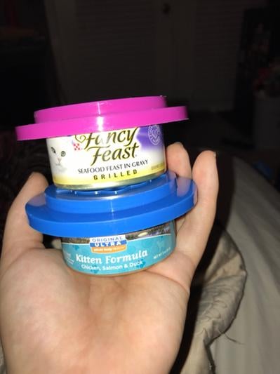 31 Practical Things From Chewy