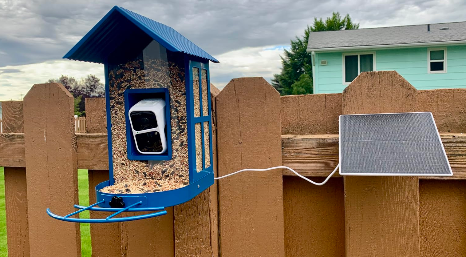 31 Backyard Games And Activities Reviewers Say Are Fun