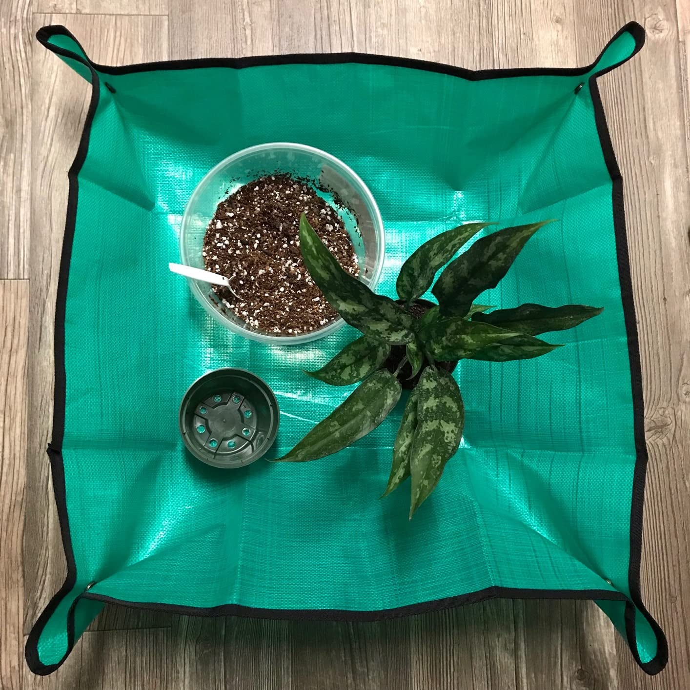 38 Things Every Plant Parent Would Love To Have