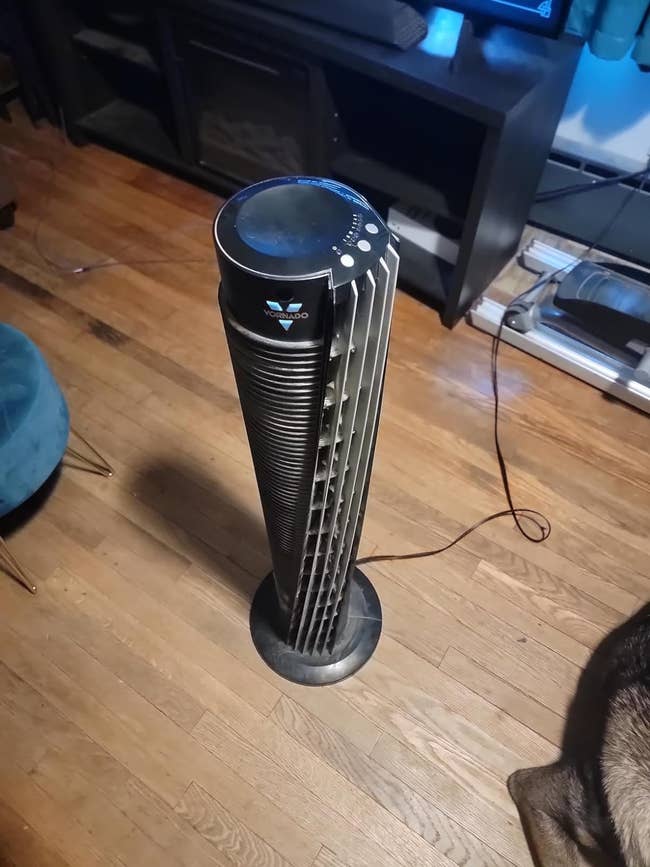 27 Best Tower Fans To Help Keep You Cool
