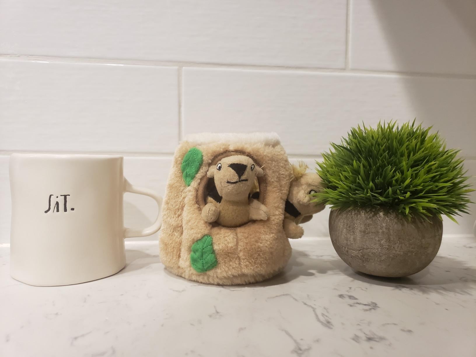 24 Useful Products For Your Dog