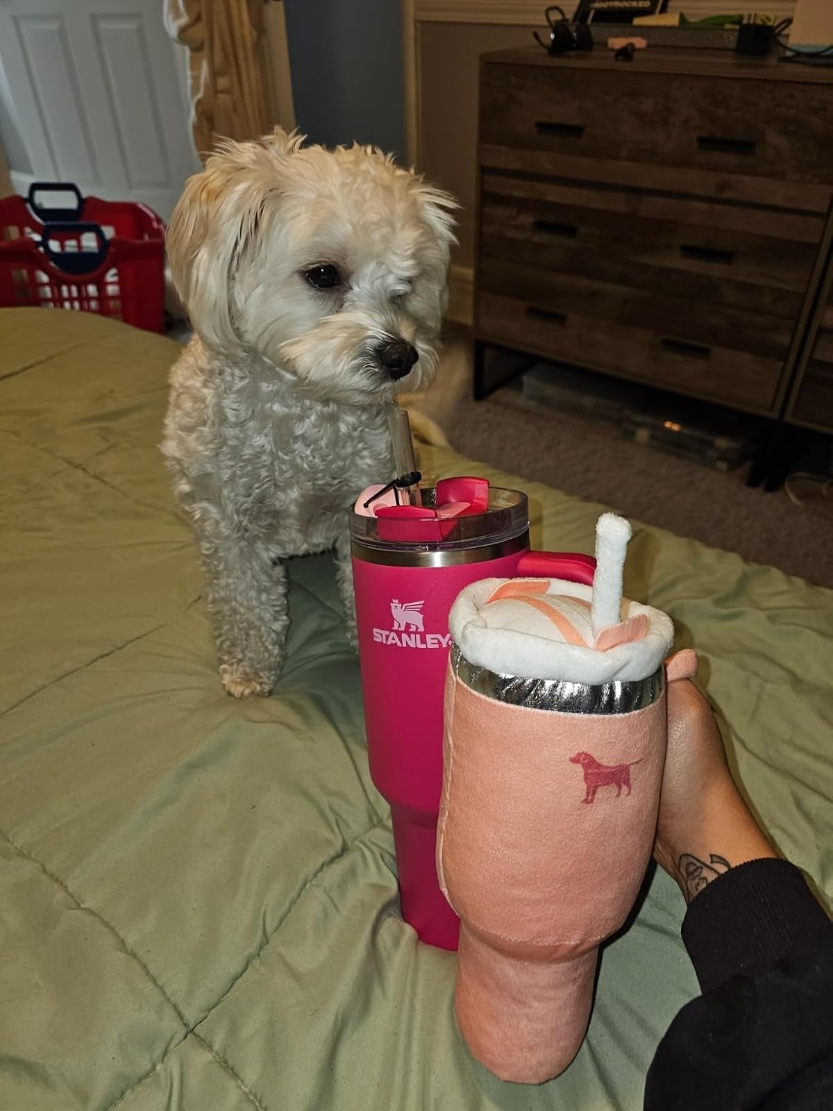 38 Pet Products For DINKWAD Couples (And Their Dog)