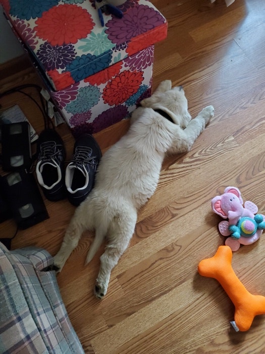 voodoo_potato on BuzzFeed