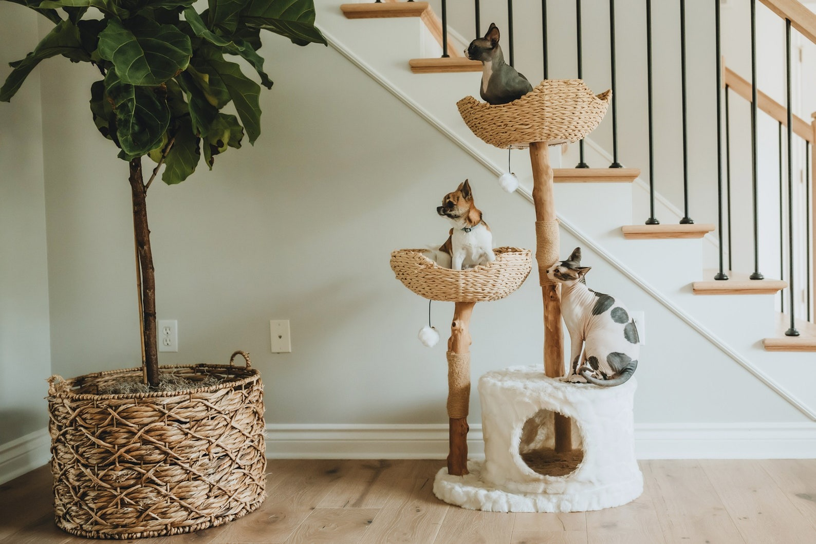 Just 32 Very Nice Things For Your Home