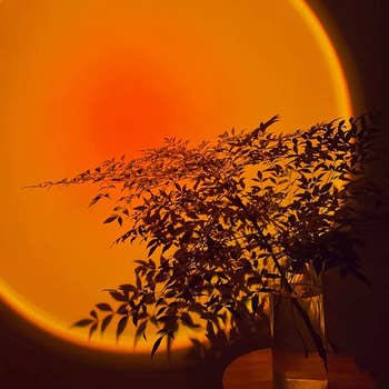 21 Best Sunset Lamps For That Late Afternoon Glow