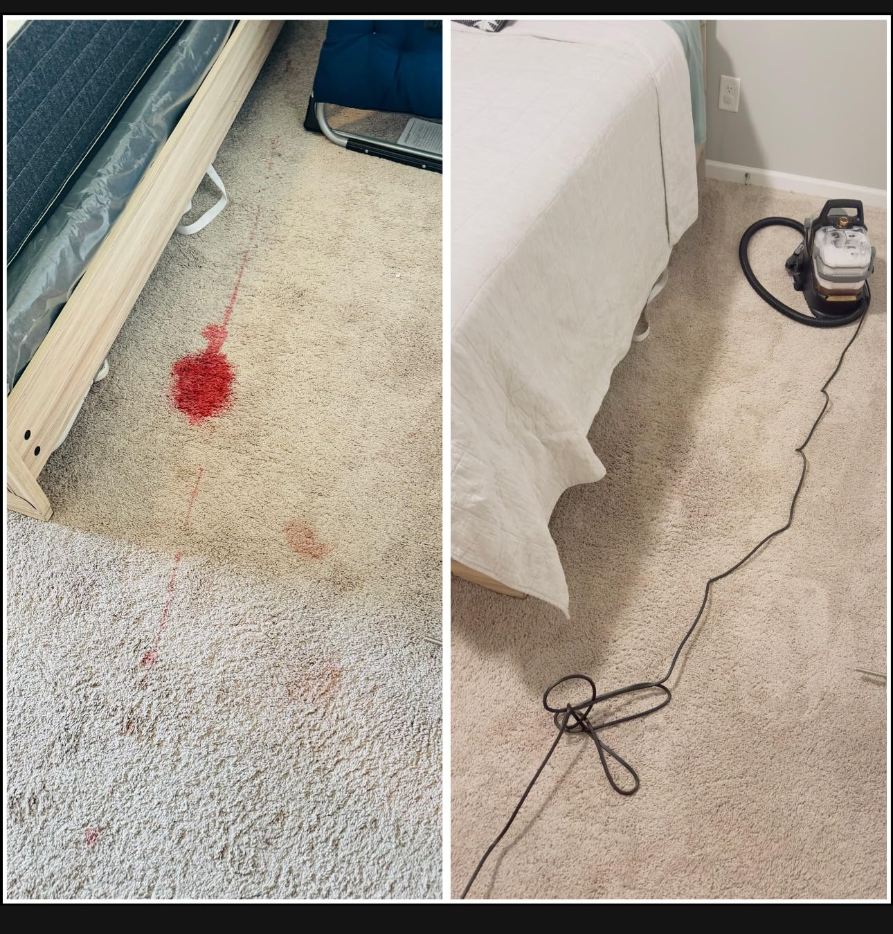 Conquer Dust Bunnies: 27 Essential Cleaning Products