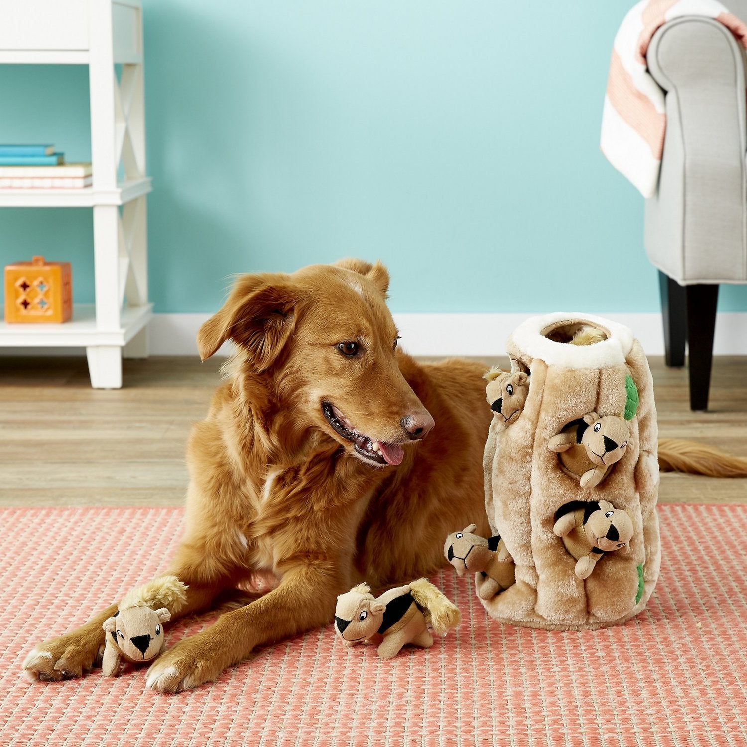 25 Things From Chewy That’ll Spoil Your Pet