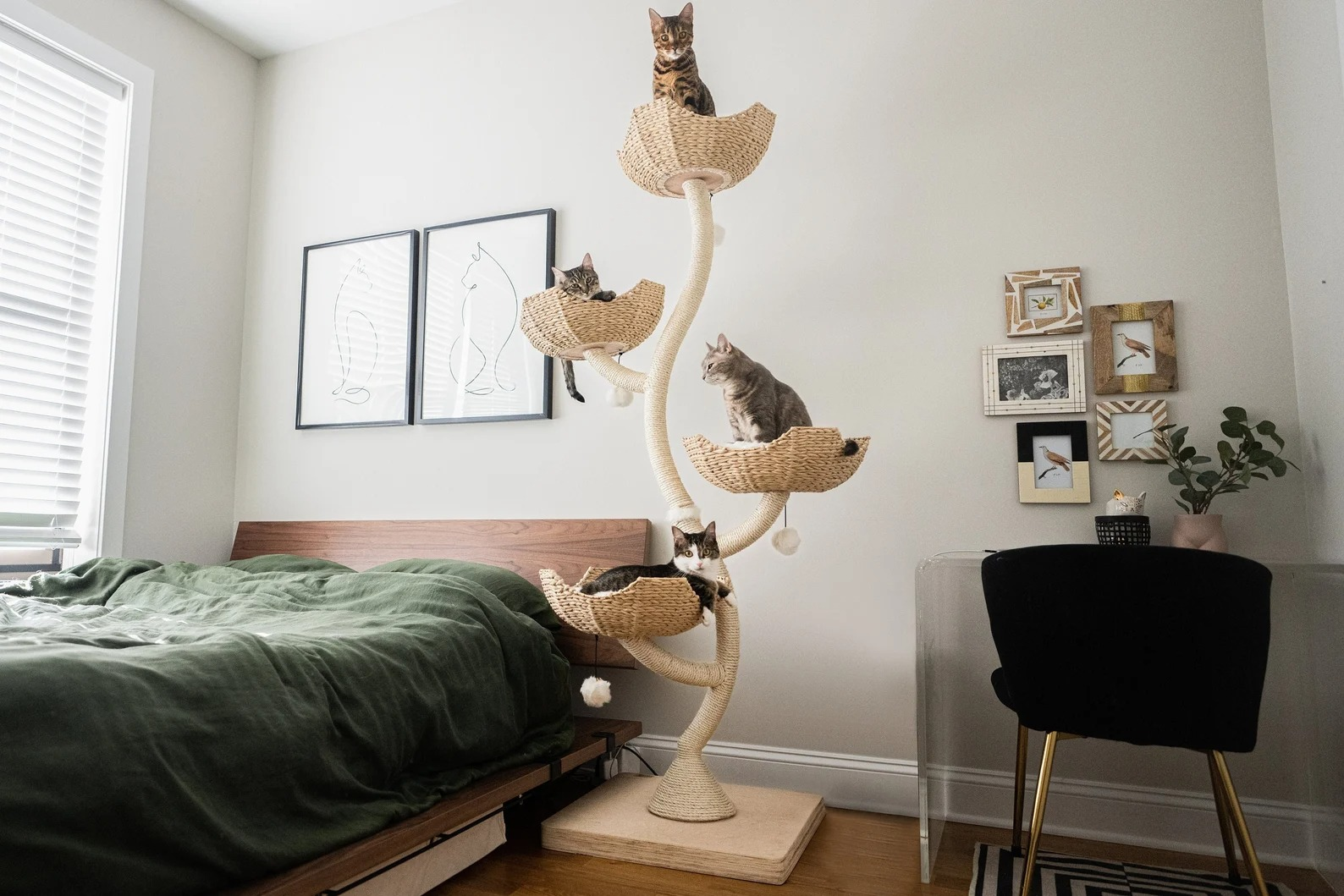 21 Best Cat Trees To Keep Kitty From Climbing The Walls