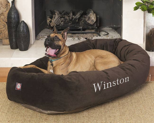 21 Best Dog Beds For Large Dogs To Nap On In 2025