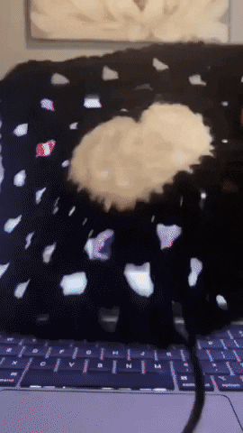 21 Best Crochet Bucket Hats To Make You Look Crafty