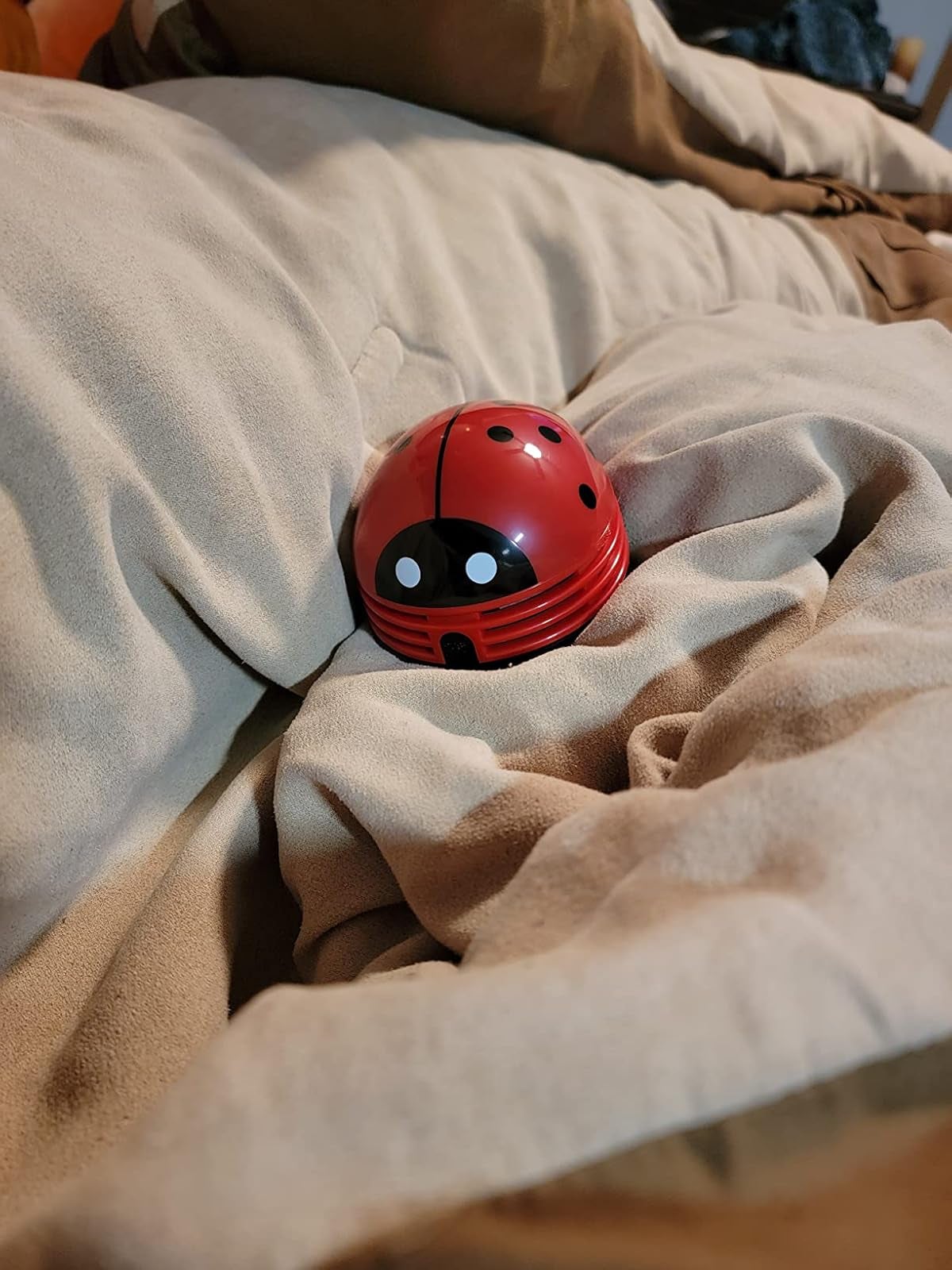 Conquer Dust Bunnies: 27 Essential Cleaning Products